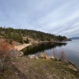 Tubbs Hill, Idaho - 3,854 Reviews, Map | AllTrails
