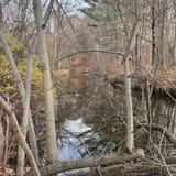 Aman Park Loop, Michigan - 1,217 Reviews, Map | AllTrails