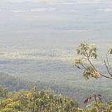 Shamokin Nature Trail, Virginia - 85 Reviews, Map | AllTrails