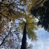 Turtle Trail, Oregon - 105 Reviews, Map | AllTrails