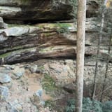 Silvermine Arch via Rough Trail, Kentucky - 103 Reviews, Map | AllTrails