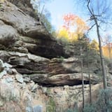 Silvermine Arch via Rough Trail, Kentucky - 109 Reviews, Map | AllTrails