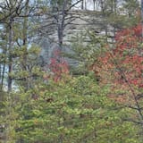 Silvermine Arch via Rough Trail, Kentucky - 108 Reviews, Map | AllTrails