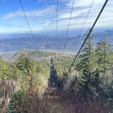 Mount Mitchell Trail, North Carolina - 2,309 Reviews, Map | AllTrails