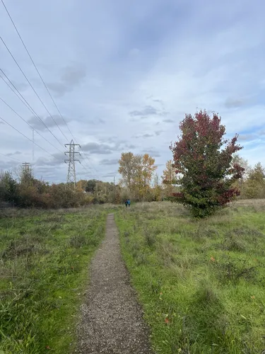 Best Forest Trails in Boring | AllTrails