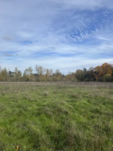 Best Forest Trails in Boring | AllTrails