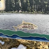 Strawberry Lake, Colorado - 1,183 Reviews, Map | AllTrails