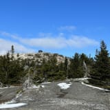 Mount Cardigan Loop Trail, New Hampshire - 1,909 Reviews, Map | AllTrails
