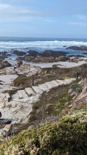 Best Hikes and Trails in Asilomar State Beach | AllTrails