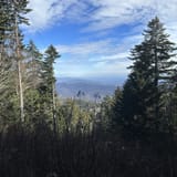 Mount Mitchell Trail, North Carolina - 2,309 Reviews, Map | AllTrails