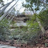 Silvermine Arch via Rough Trail, Kentucky - 120 Reviews, Map | AllTrails