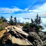 Myrtle Point and Mount LeConte via Alum Cave Trail, Tennessee - 3,081 ...