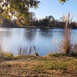 Washington Park Loop, Colorado - 3,322 Reviews, Map | AllTrails