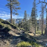Gilmore Lake, California - 360 Reviews, Map | AllTrails