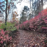 Elk Run, Virginia - 354 Reviews, Map | AllTrails