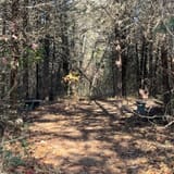 Elk Run, Virginia - 354 Reviews, Map | AllTrails