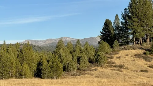 Best Hikes and Trails in Martis Creek Lake National Recreation Area ...