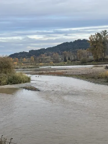 Best Hikes and Trails in Clearwater Park | AllTrails