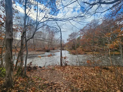 Best Hikes and Trails in Salt Springs Provincial Park | AllTrails