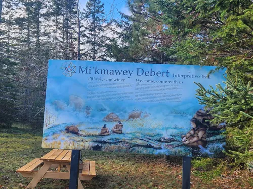 2023 Best Forest Trails in Debert | AllTrails