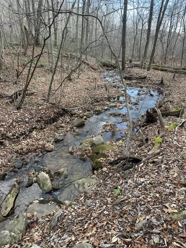 Best Hikes and Trails in Laurel Ridge State Park | AllTrails