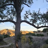 Calabasas Hidden Stairs, California - 631 Reviews, Map | AllTrails