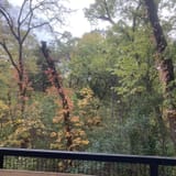 Spring Creek Nature Area Trail, Texas - 998 Reviews, Map | AllTrails