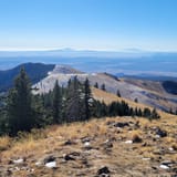 Mount Taylor via Gooseberry Trail, New Mexico - 485 Reviews, Map ...