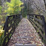 Mima Falls Loop, Washington - 1,410 Reviews, Map | AllTrails