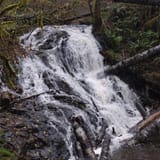 Mima Falls Loop, Washington - 1,410 Reviews, Map | AllTrails