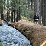 Lyons Dam, California - 561 Reviews, Map | AllTrails