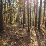 Pine Log Creek Trail, Georgia - 2,250 Reviews, Map | AllTrails