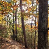 Pine Log Creek Trail, Georgia - 2,250 Reviews, Map | AllTrails