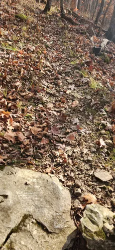 2023 Best Views Trails in Troy | AllTrails