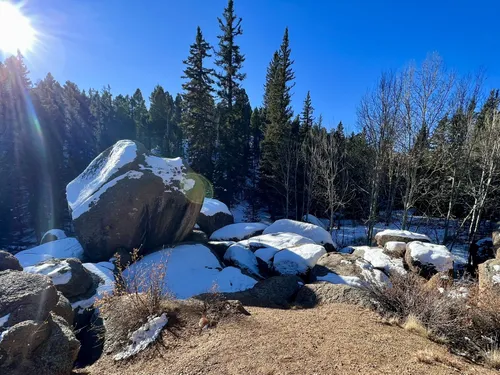 2023 Best Long Trails in Florissant Fossil Beds National Monument ...