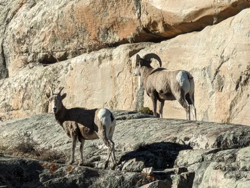 Best Hikes and Trails in Fitzpatrick Wilderness | AllTrails