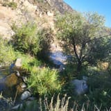 Tenaja Falls, California - 685 Reviews, Map | AllTrails