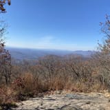Springer Mountain, Georgia - 642 Reviews, Map | AllTrails