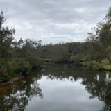 Pinjarra Murray River Walk, Western Australia, Australia - 20 Reviews ...