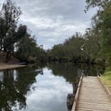Pinjarra Murray River Walk, Western Australia, Australia - 20 Reviews ...