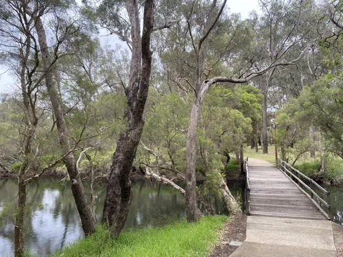 Best Trails, Walks, and Paths in Pinjarra | AllTrails