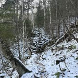 Imp Ledges Trail, New Hampshire - 412 Reviews, Map | AllTrails