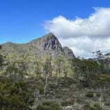 Mount Pillinger Arm River Loop Track, Tasmania, Australia - 19 Reviews ...