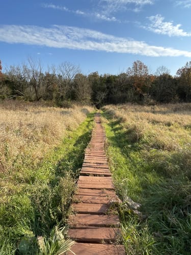 Best Hikes and Trails in Six Mile Run State Park | AllTrails