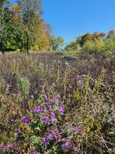 Best Hikes and Trails in Spring Lake Park Preserve | AllTrails