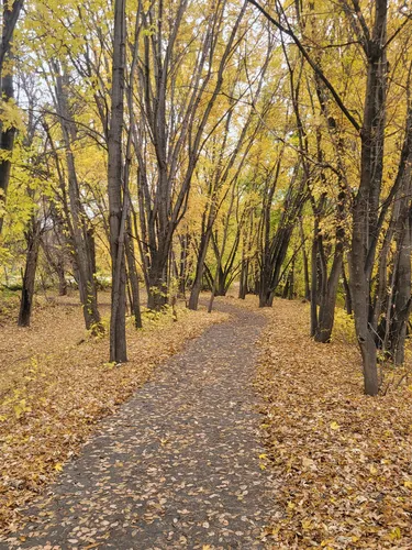Best Hikes and Trails in Gooseberry Mound Park | AllTrails