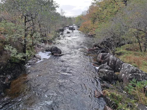 Best Hikes and Trails in Ariundle Oakwood National Nature Reserve ...