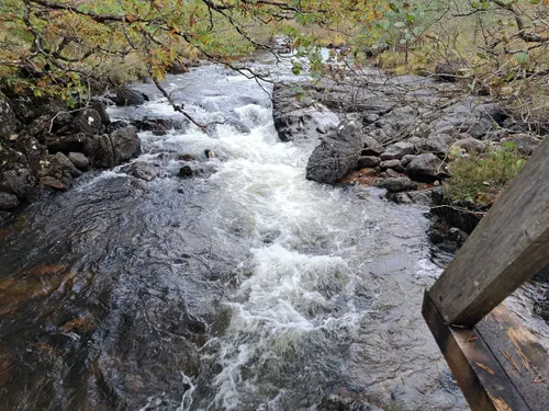 Best Hikes and Trails in Ariundle Oakwood National Nature Reserve ...