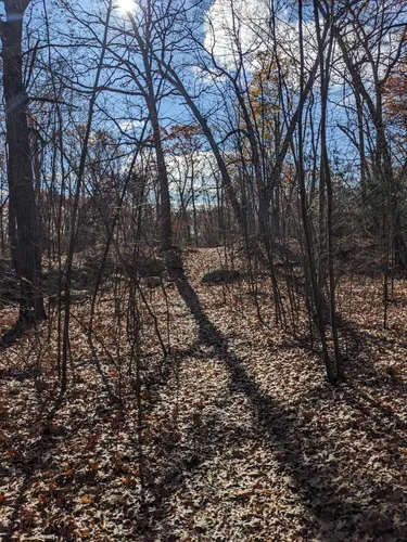 10 Best Walking Trails in Worcester | AllTrails