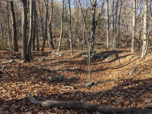 Best Hikes and Trails in Perkins Farm Conservation Area | AllTrails